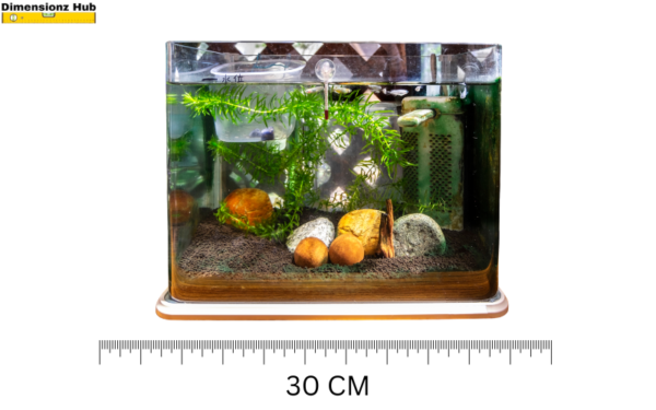 How Big Is 30 cm? Easy Real-Life Size Examples Guide