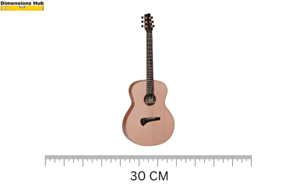 How Big Is 30 cm? Easy Real-Life Size Examples Guide