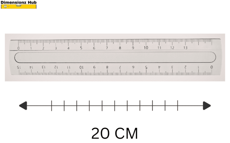15 Common Everyday Things That Are About 20 cm Big